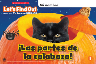 ¡Las partes de la calabaza!