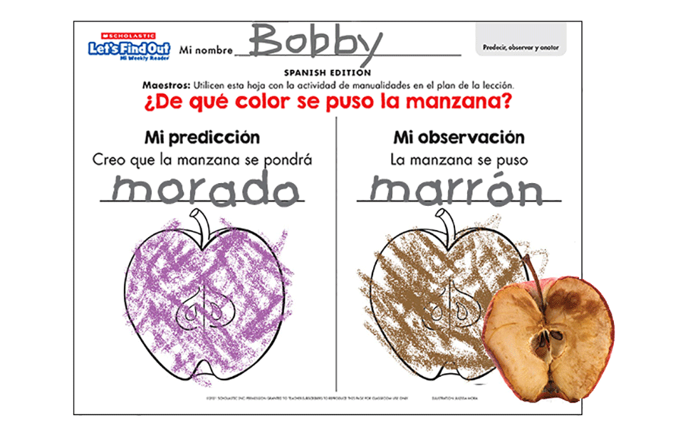 Lesson Plan: ¡Manzanas y bananas!
