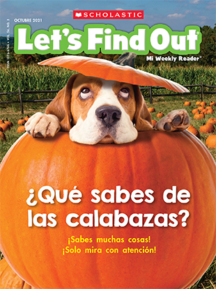 ¿Qué sabes de las calabazas? - October 2021