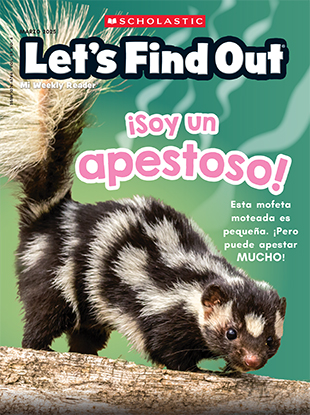 ¡Soy un apestoso! - March 2025