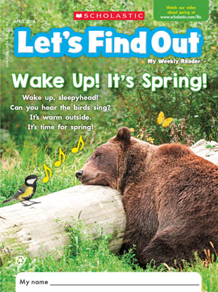 Wake Up! It's Spring!