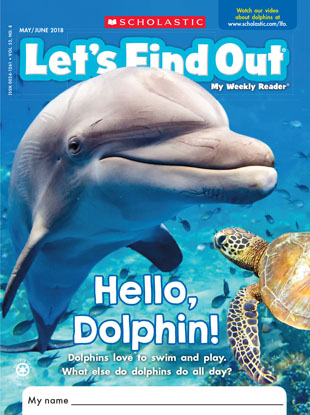 Hello, Dolphin!