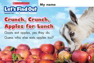 Crunch, Crunch, Apples for Lunch - September 2017