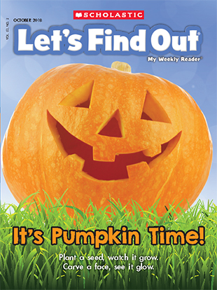 It’s Pumpkin Time! - October 2018