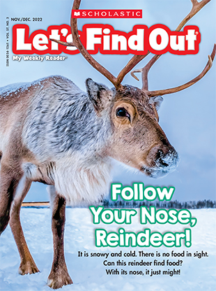 Weekly Reader Scholastic News