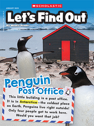 Penguin Post Office - January 2024