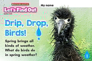 Drip, Drop, Birds! - March 2024