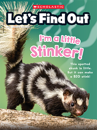 I’m a Little Stinker! - March 2025